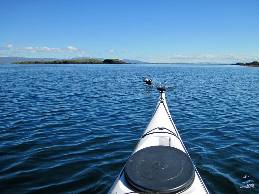 Calm Water Kayaking Tour from Isafjordur | Arctic Adventures