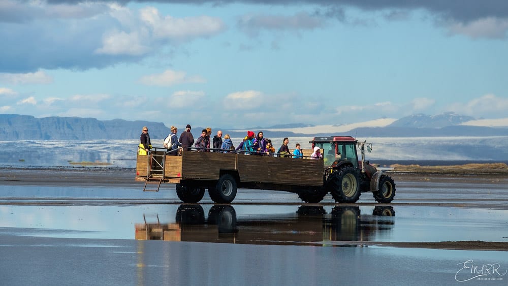 Puffin Sightseeing Tour at Ingolfshofdi | Arctic Adventures