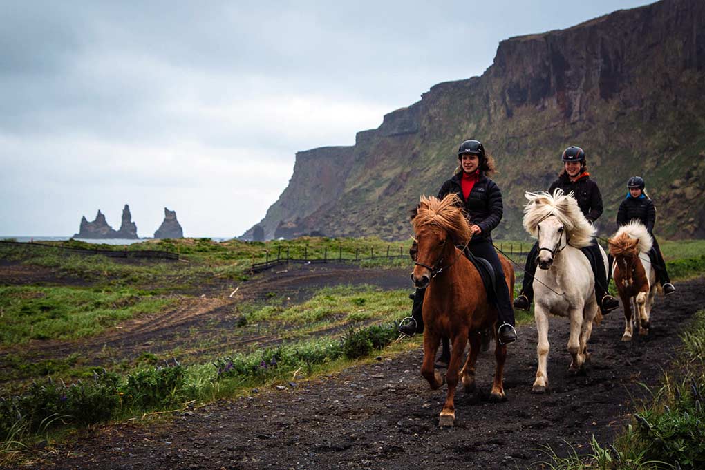 Black Sand Beach Horse Riding Tour in Iceland | Arctic Adventures