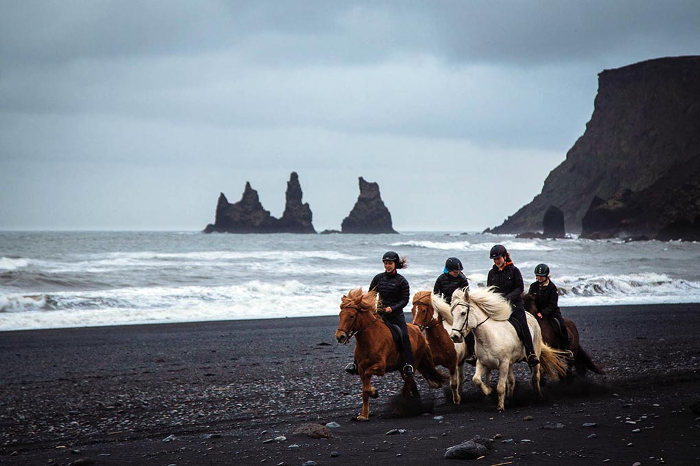 Black Sand Beach Horse Riding Tour in Iceland