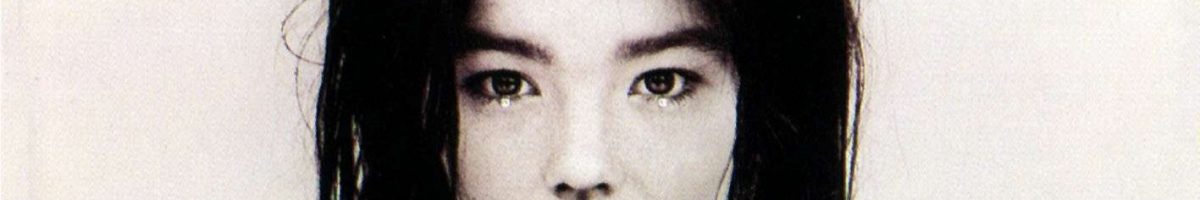 About Bjork | The Icelandic Singer | Arctic Adventures