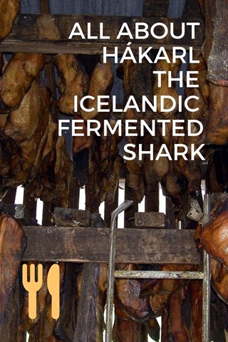 Hakarl - Iceland's Fermented Shark | Yay or Nay? | Arctic Adventures