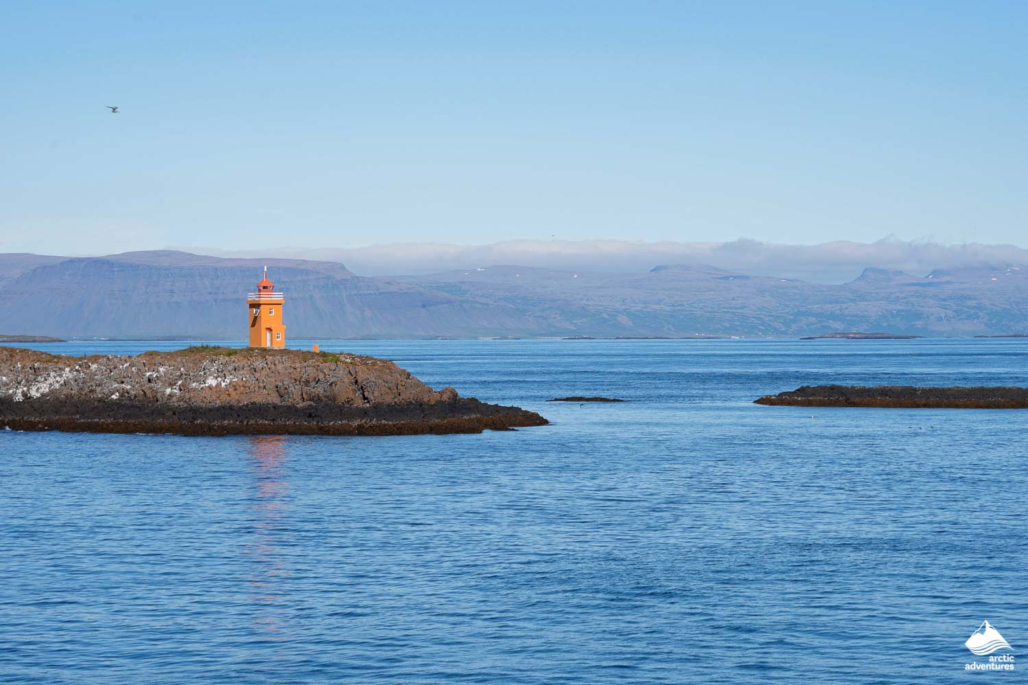 All about Flatey Island | Arctic Adventures