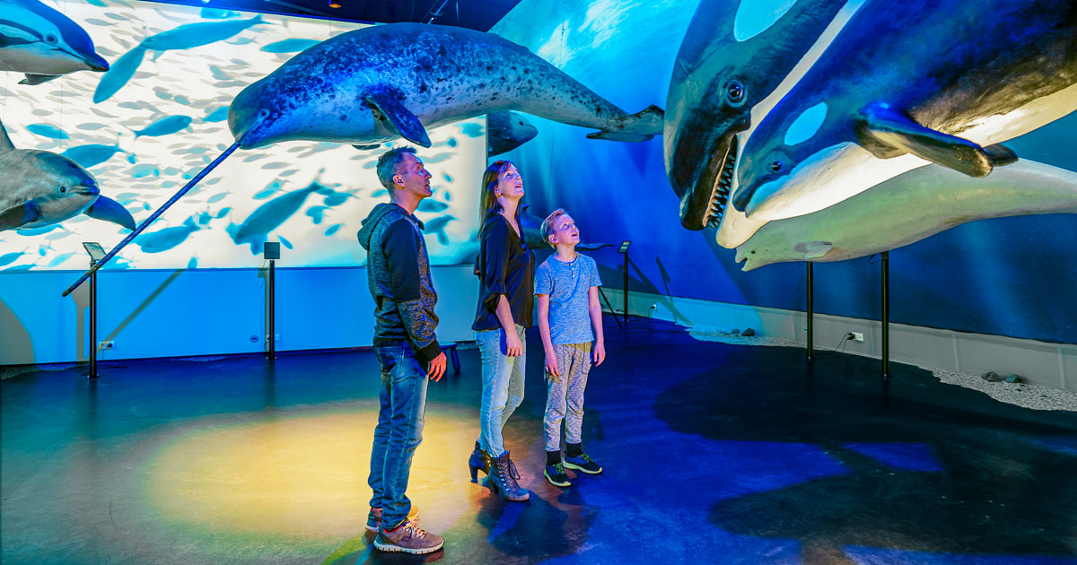 FlyOver Iceland | Arctic Adventures