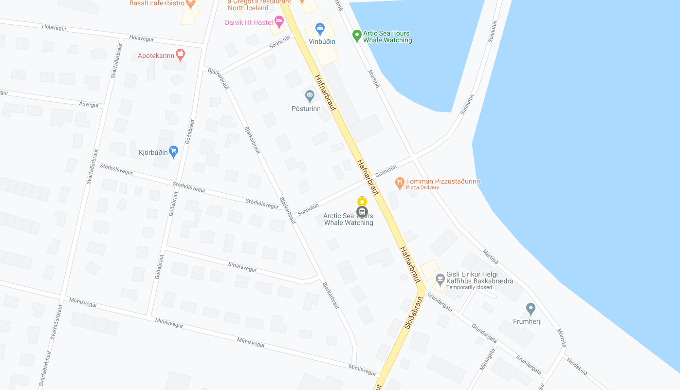 Whale Watching tour in Dalvik | Arctic Adventures