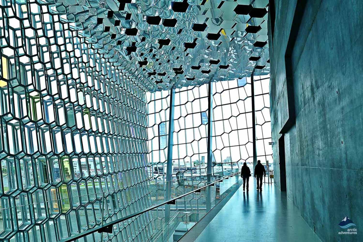 Harpa Concert Hall in Iceland | Arctic Adventures