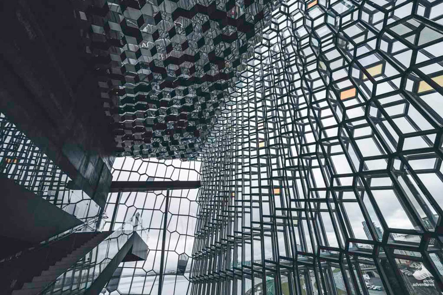 Harpa Concert Hall in Iceland | Arctic Adventures