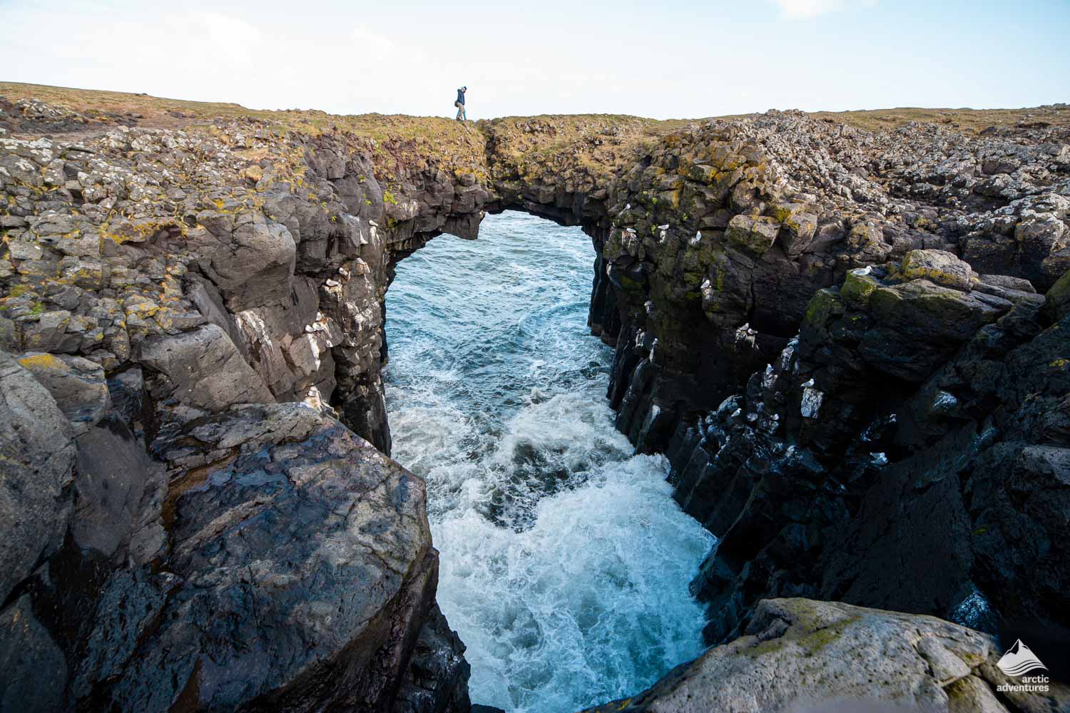 Arnarstapi | Arctic Adventures