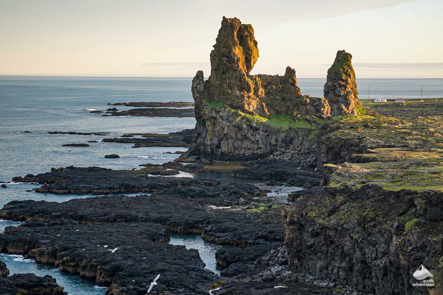 Arnarstapi | Arctic Adventures