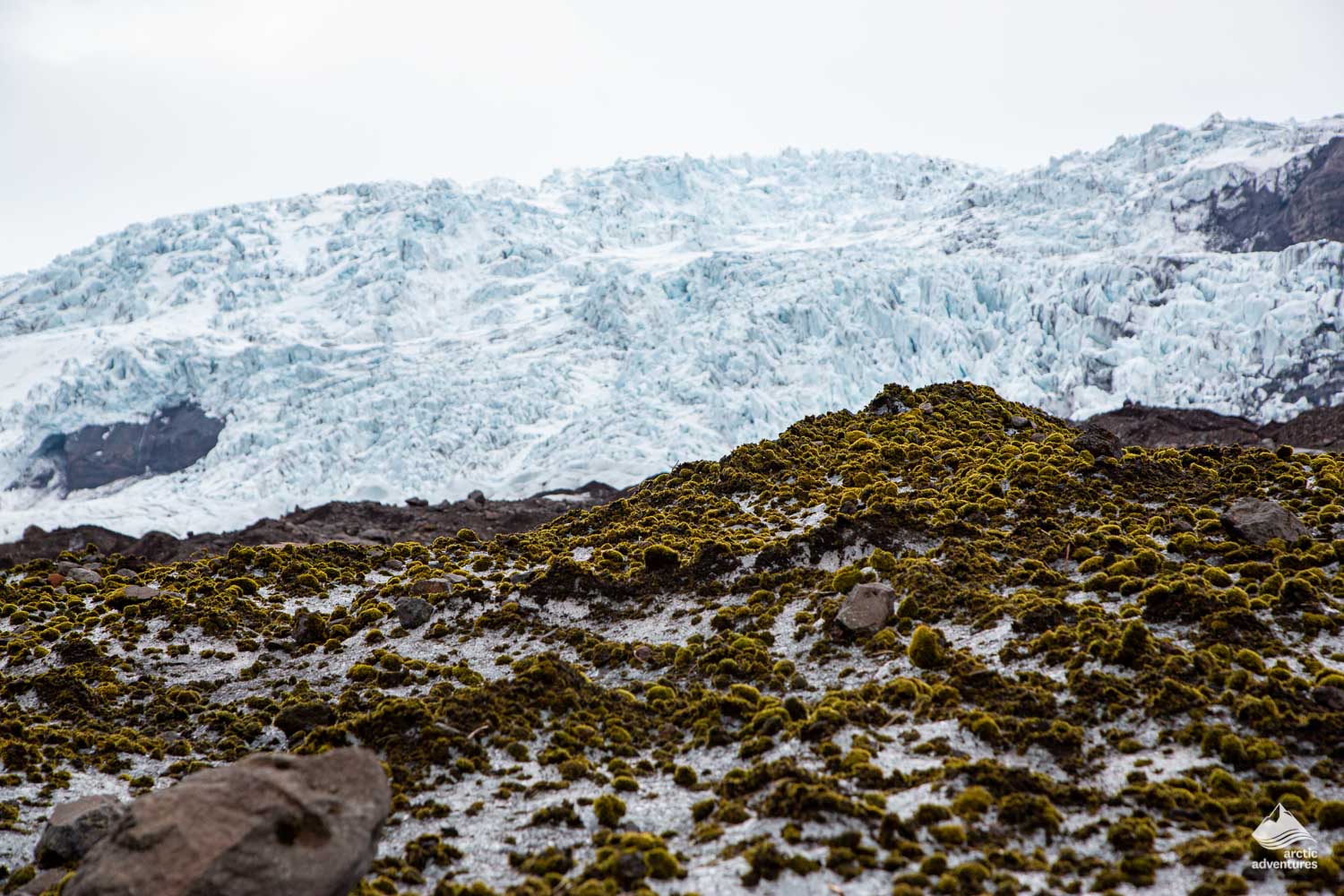 Vatnajokull Glacier & National Park, Iceland | Arctic Adventures