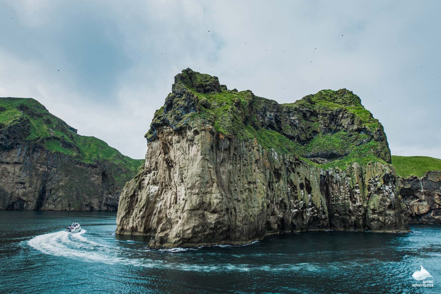 Heimaey Island | Arctic Adventures