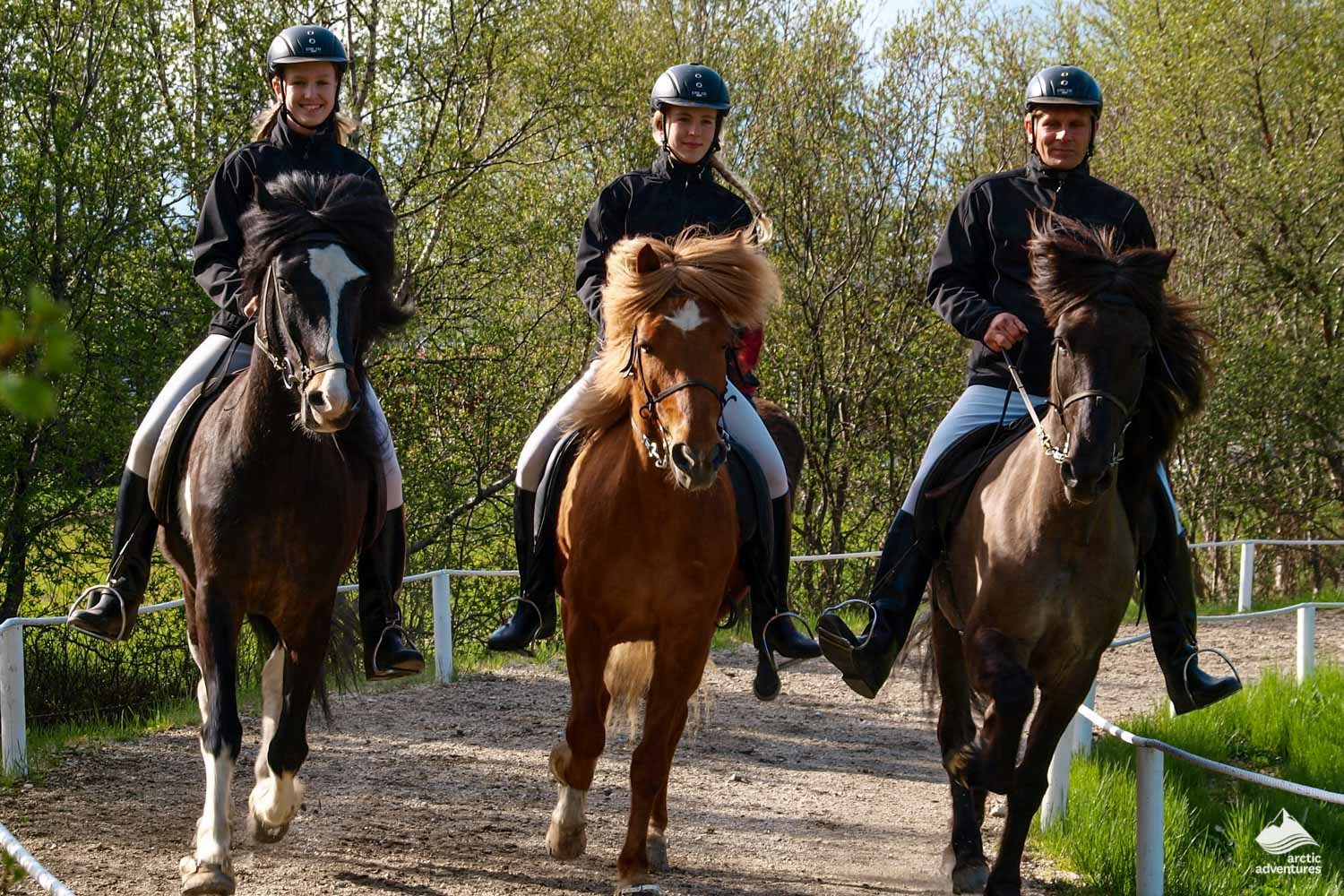 Fridheimar Tomato Farm in Iceland | Arctic Adventures