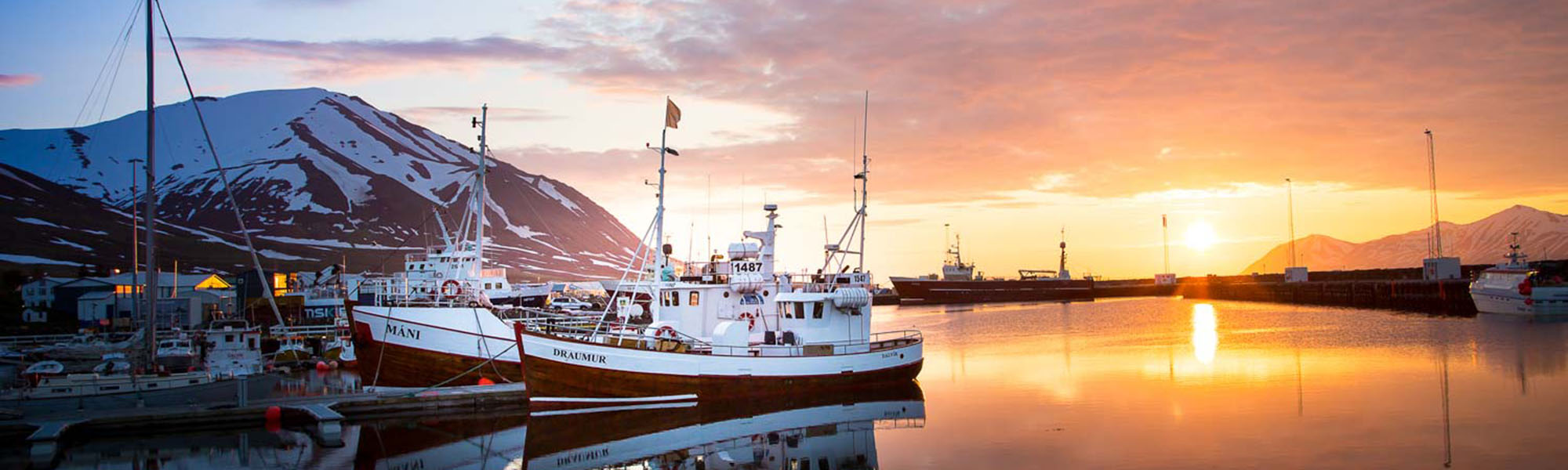 Dalvik in the North of Iceland | Arctic Adventures