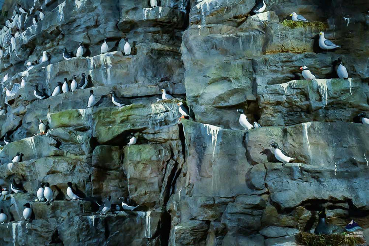 Perlan Museum in Iceland | Arctic Adventures