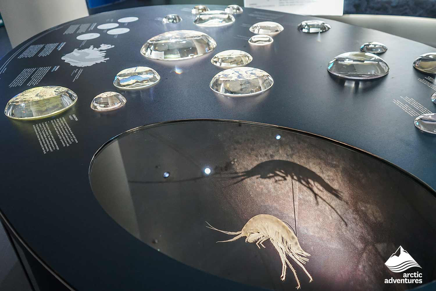 Perlan Museum in Iceland | Arctic Adventures