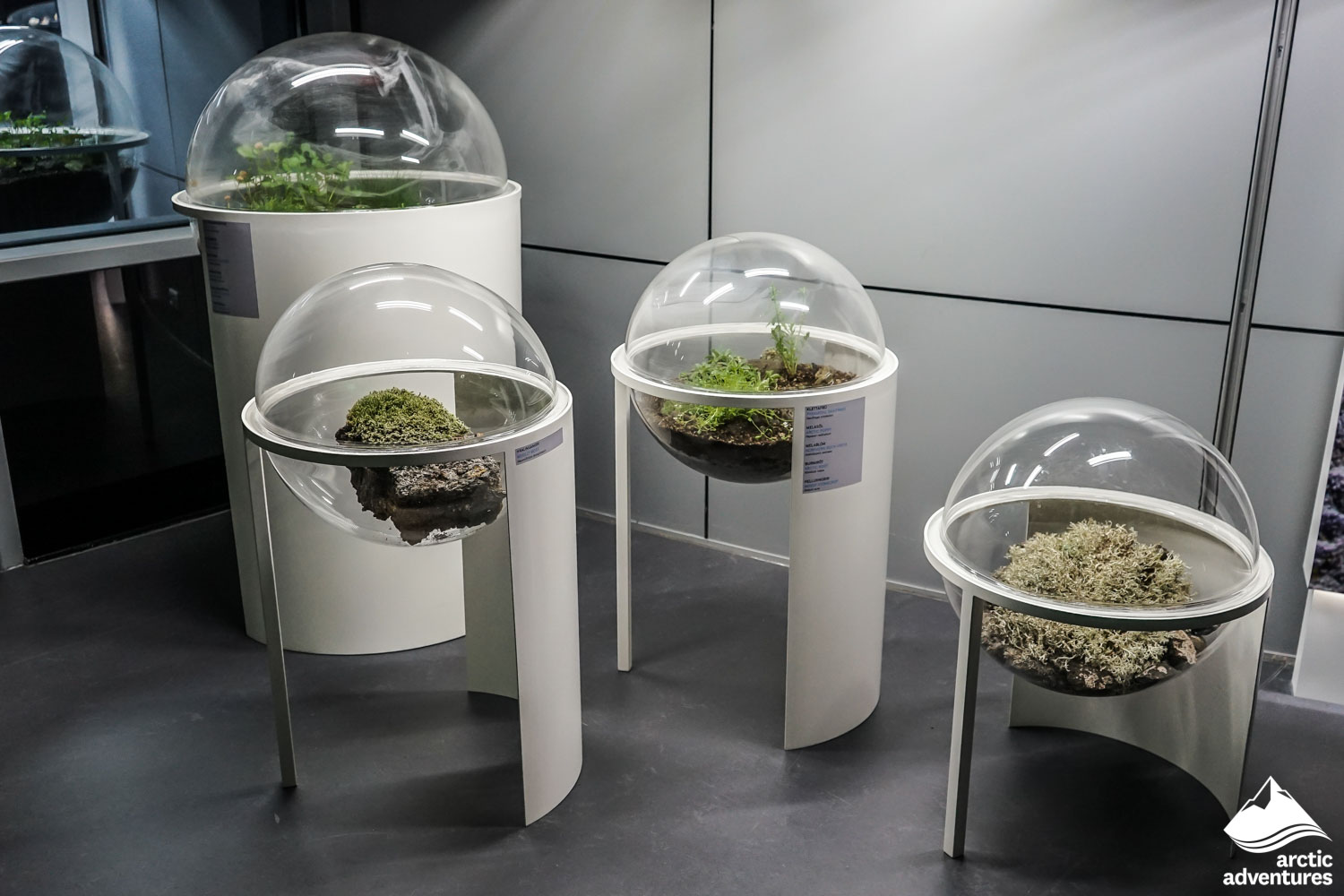 Admission to Perlan Museum | Arctic Adventures