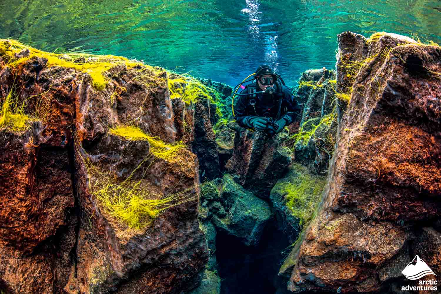 Multi-Day Diving Tour | Scuba Diving | Arctic Adventures