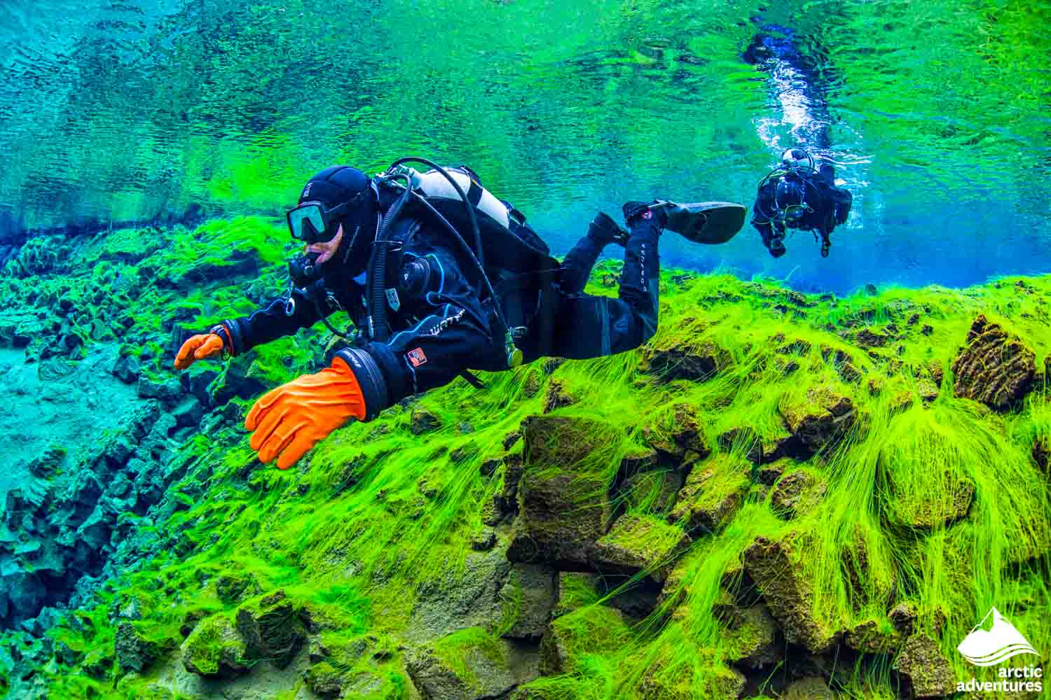 Multi-Day Diving Tour | Scuba Diving | Arctic Adventures