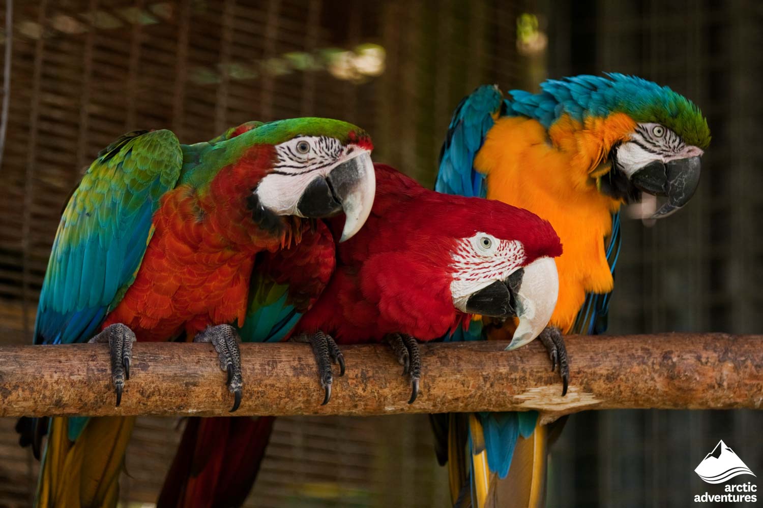 Family fun at Slakki Petting Zoo | Arctic Adventures