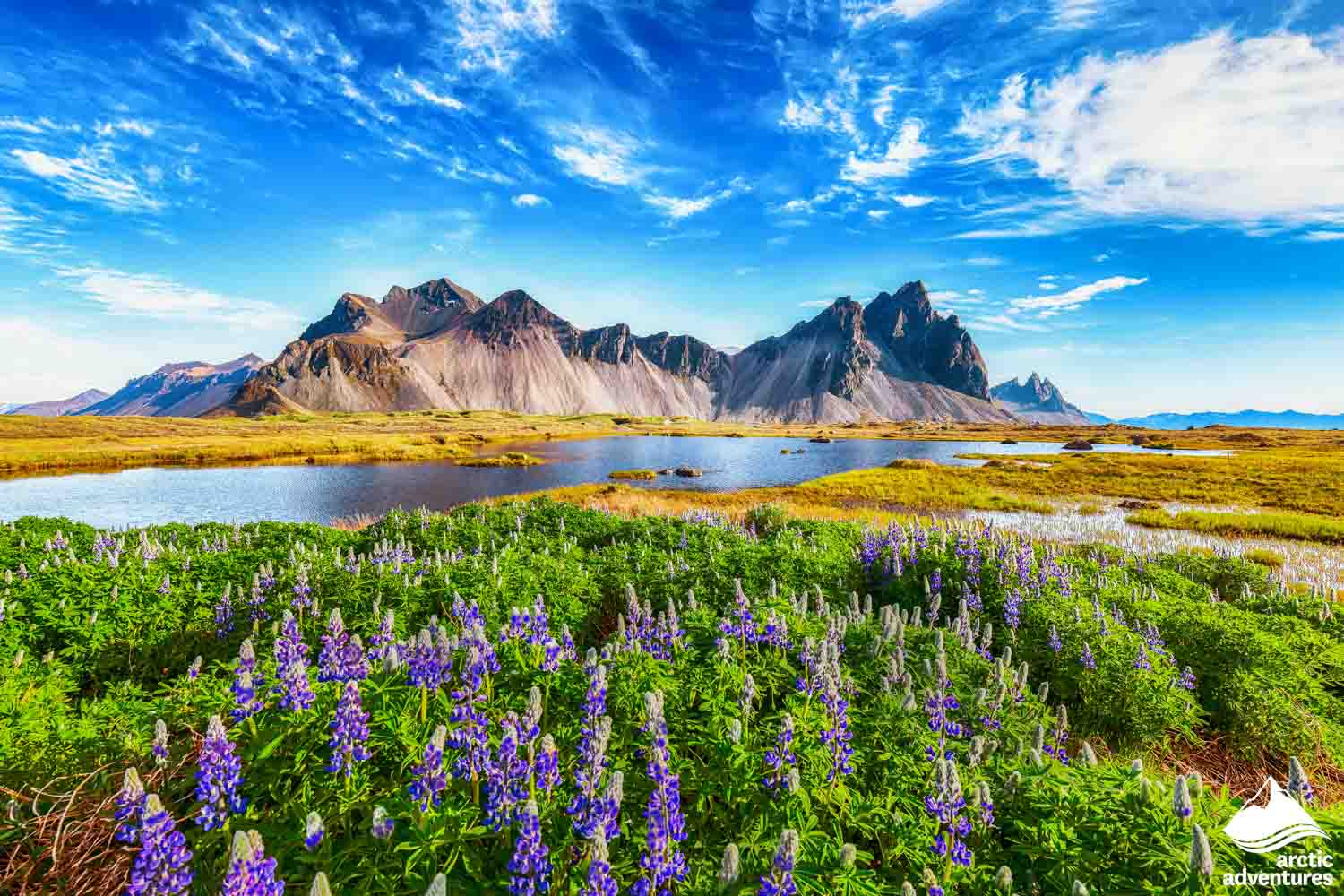 Best time to visit Iceland | Arctic Adventures