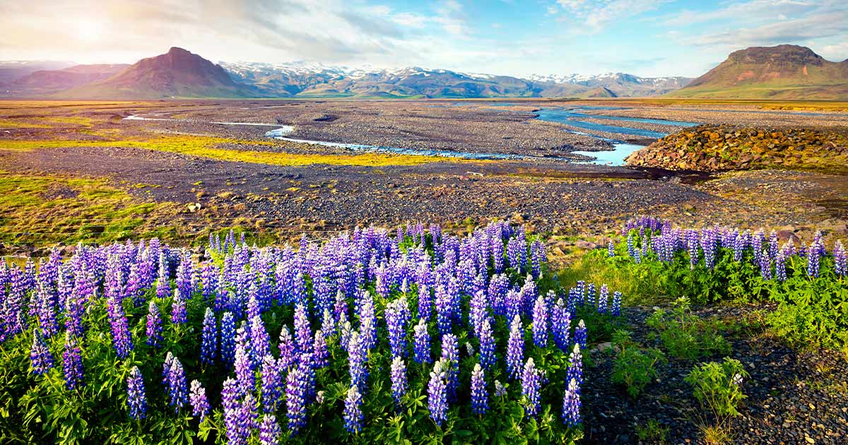 Iceland Summer Tours & Vacation Packages | Arctic Adventures