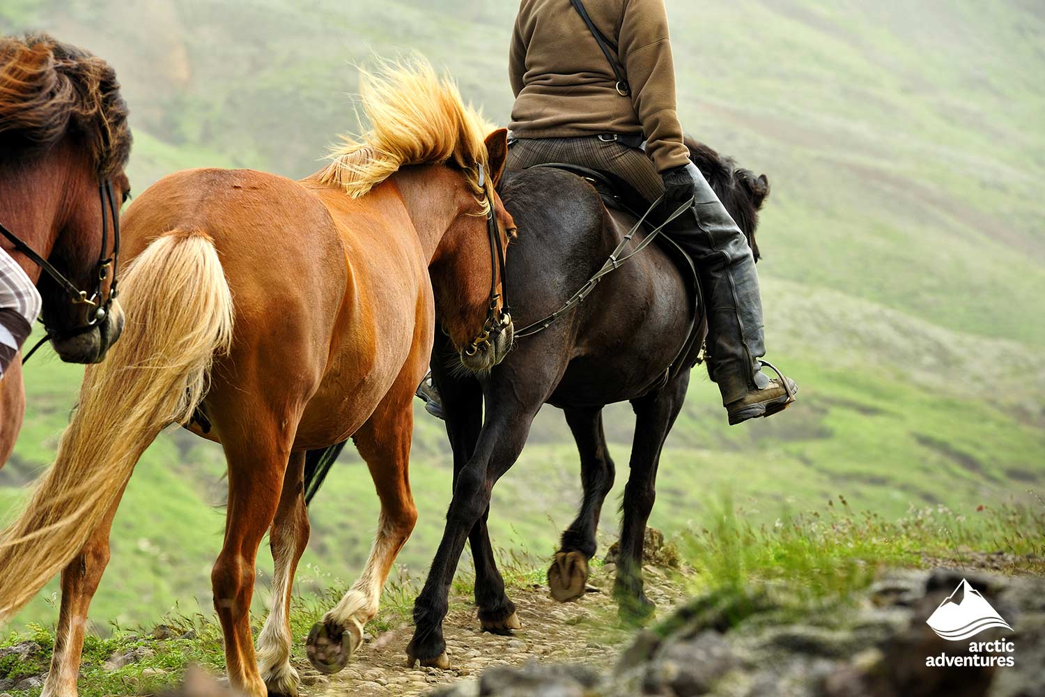 Horse Riding in East Iceland | Arctic Adventures