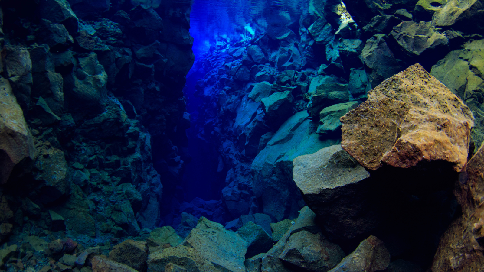 Stunning Diving Locations in Iceland | Arctic Adventures