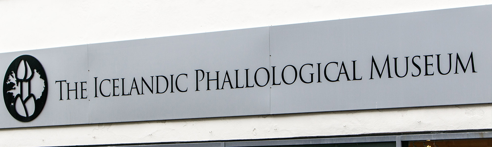 The Icelandic Phallological Museum | Arctic Adventures