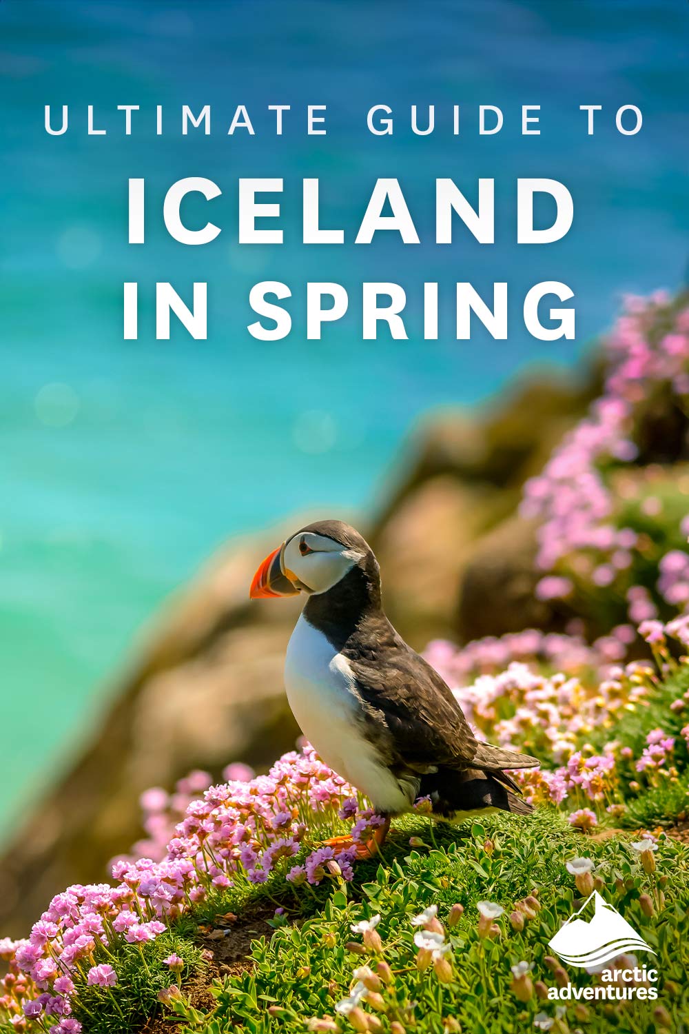 Ultimate Guide to Iceland in Spring | Arctic Adventures