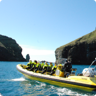 Family fun at Slakki Petting Zoo | Arctic Adventures