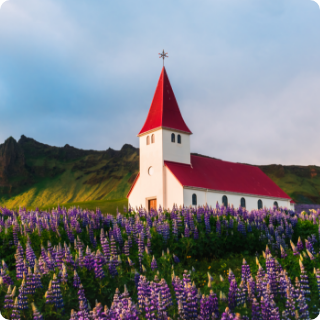 Family fun at Slakki Petting Zoo | Arctic Adventures