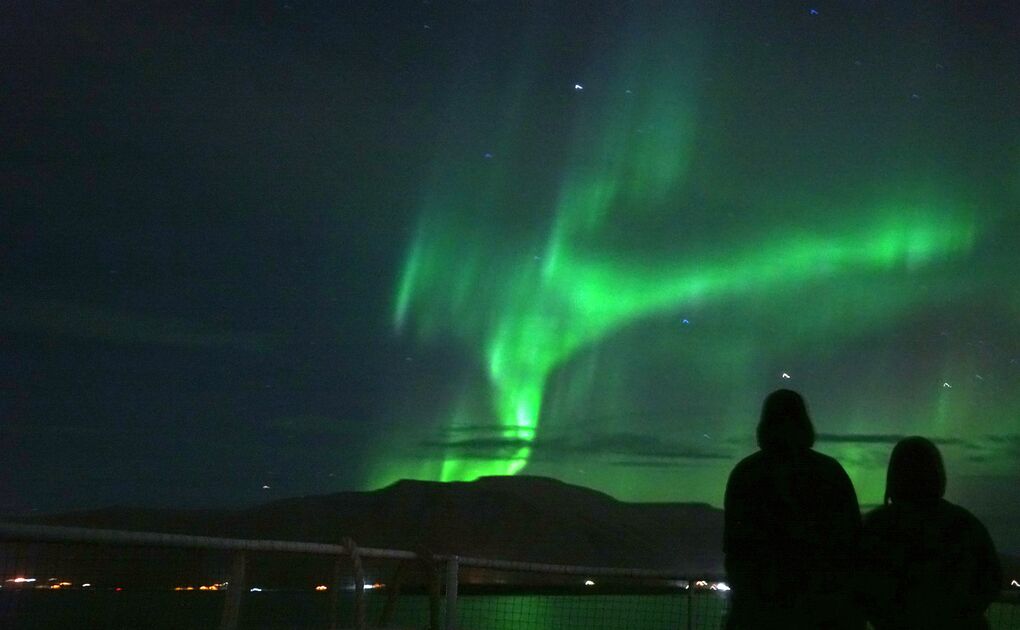 Whale Watching & Northern Lights Tour | Arctic Adventures