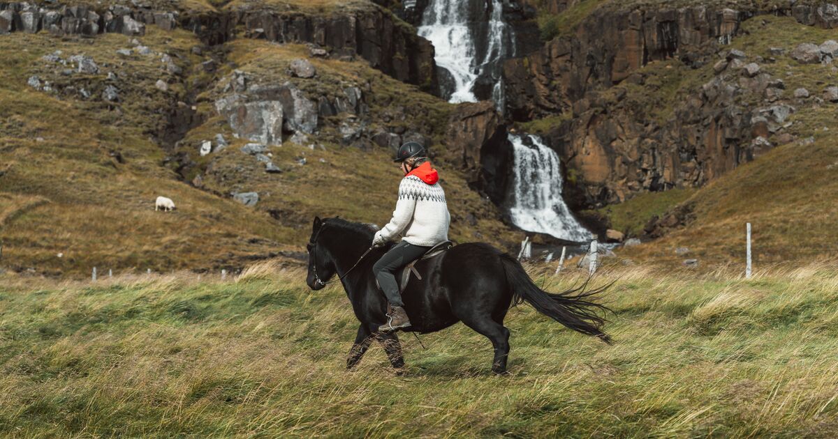 Midnight Wilderness Horseback Ride in Iceland