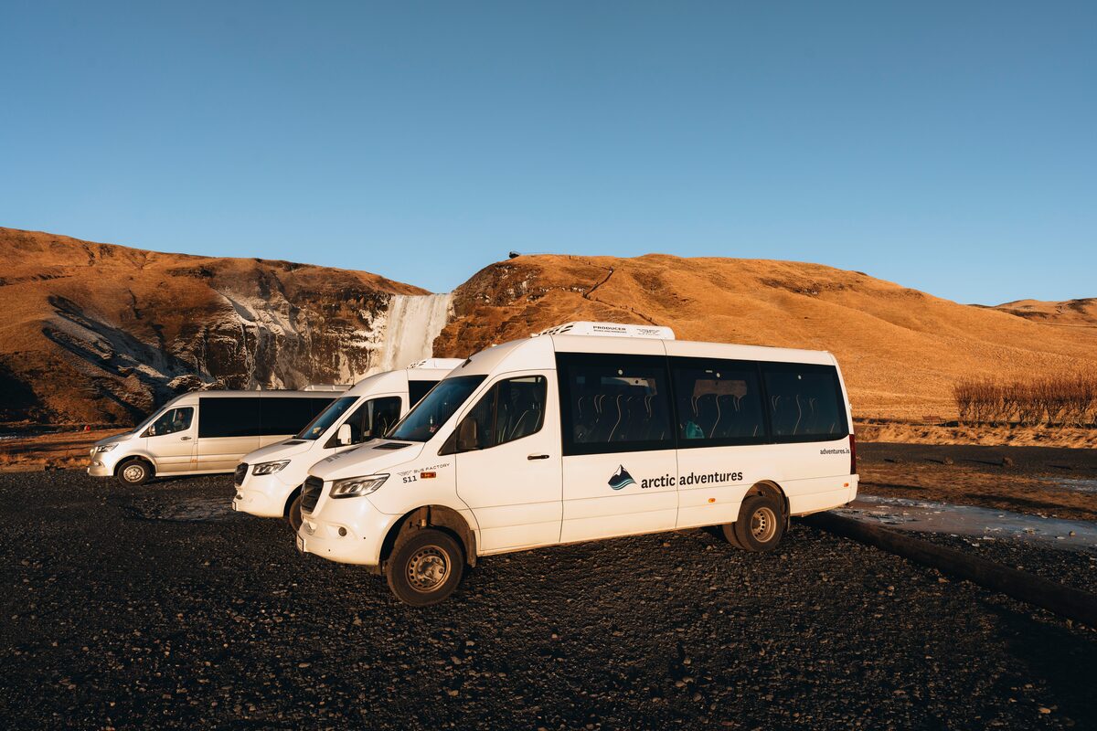 About Arctic Adventures | Iceland's Leading Tour Operator