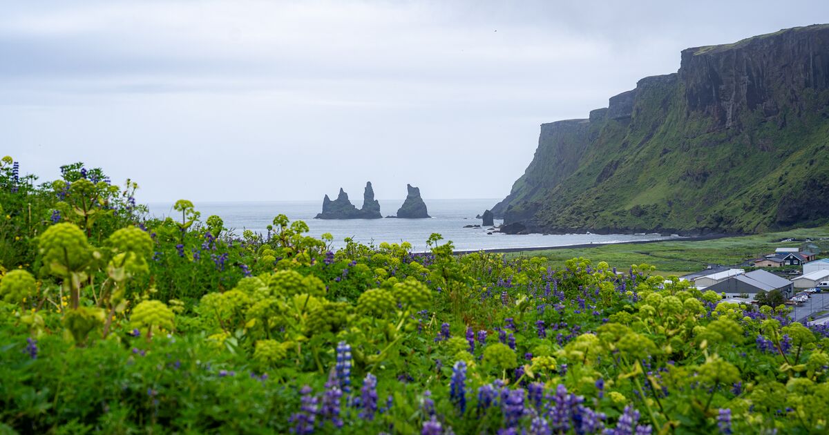 Iceland in May: What to Expect and Where to Go
