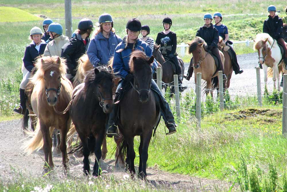 Horseback Riding Heritage Tour | Arctic Adventures