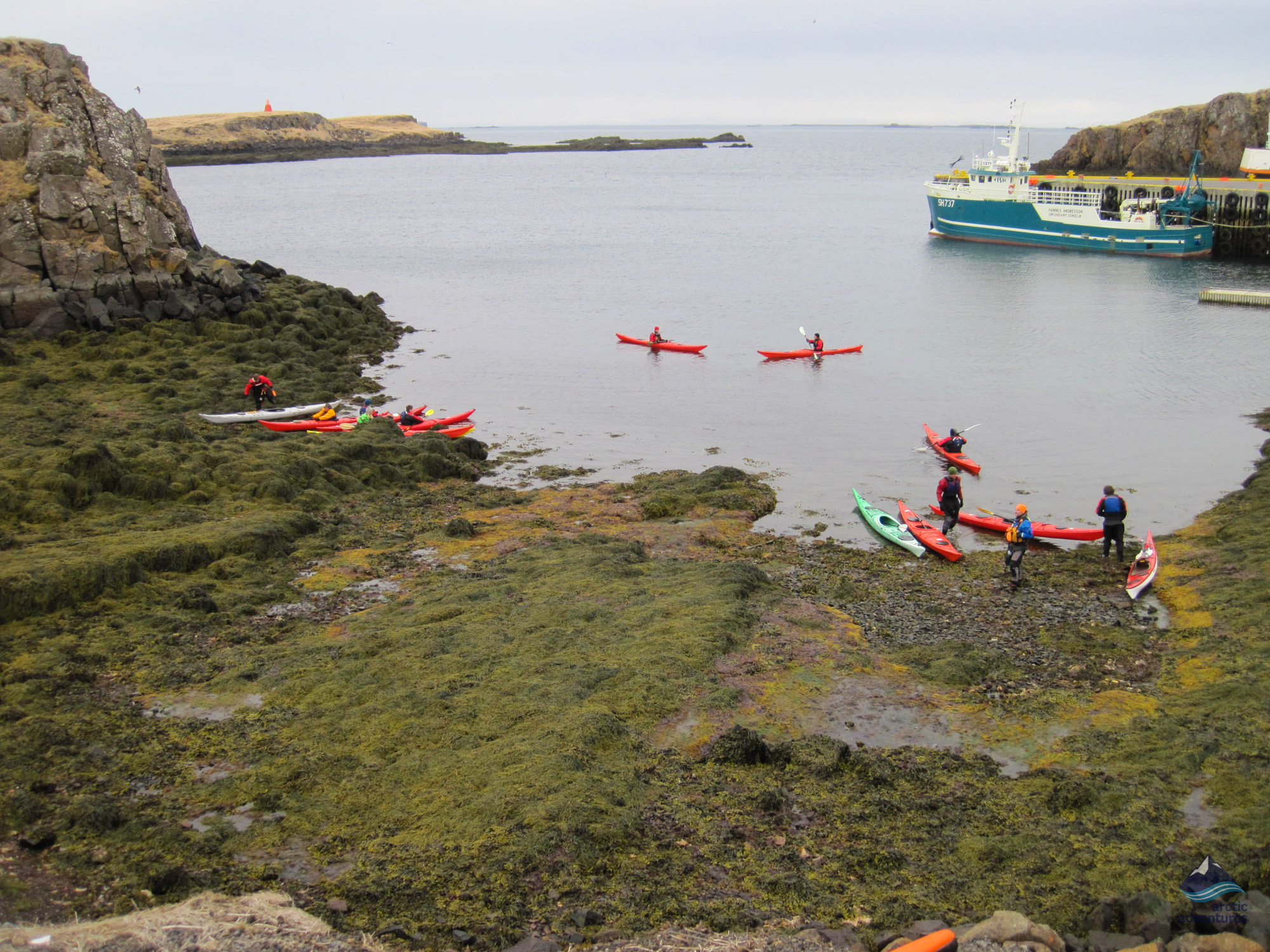 Sea Kayaking Tour from Stykkishólmur | Arctic Adventures