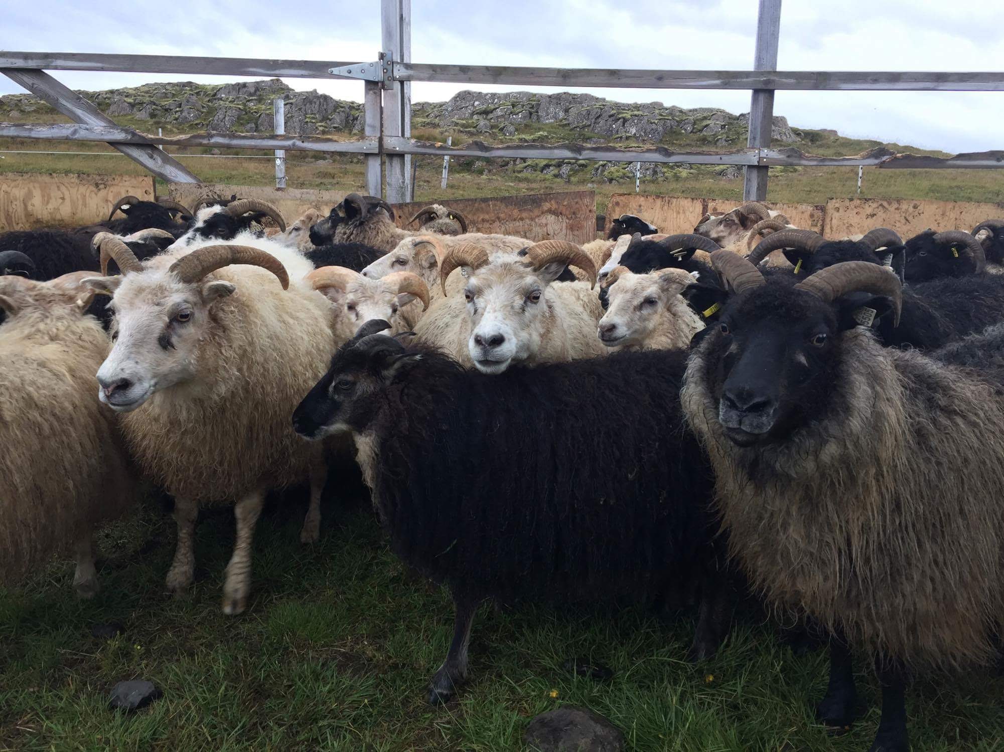 Iceland In September | Things to Do | Arctic Adventures